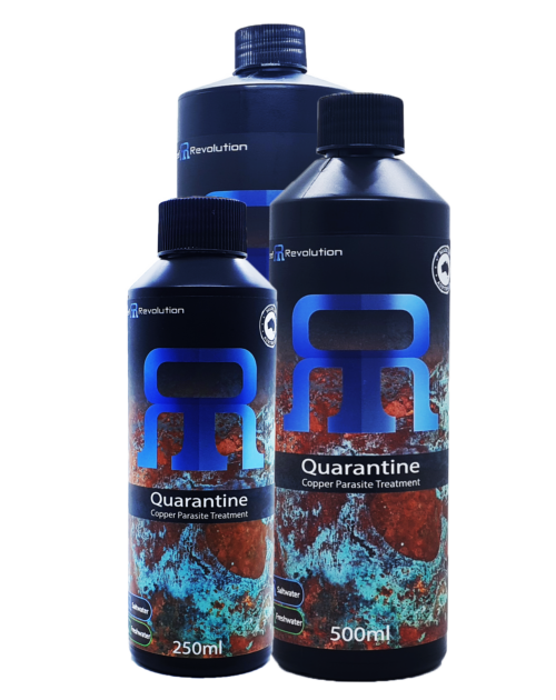 Quarantine - Reef Revolution